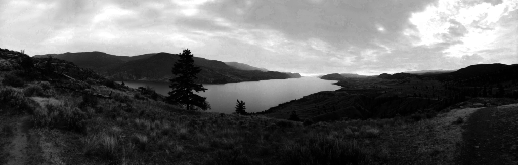 IMG_2671_WP_BW – Nathan Wainwright
